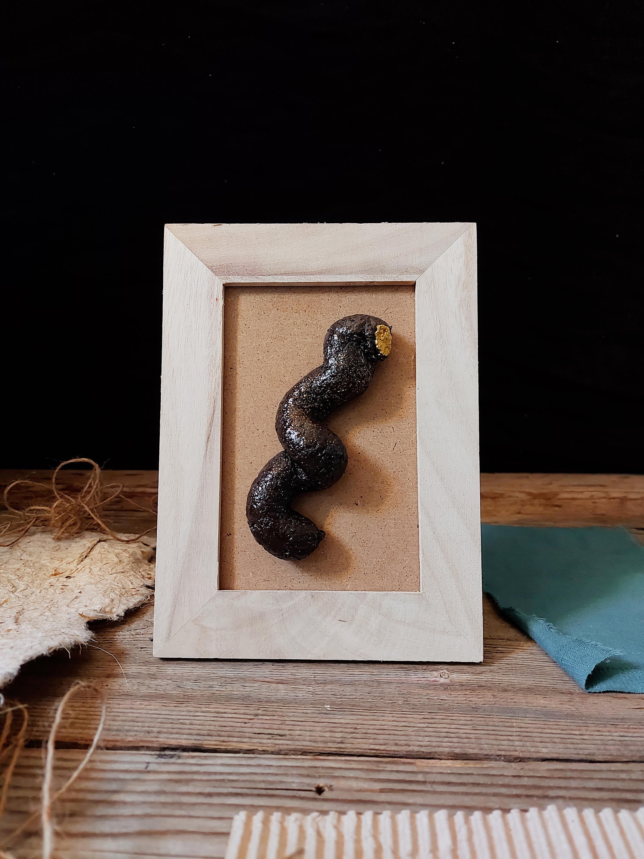 Real Poop handmade-on a Stand for Good Luck-crazy Art Good - Etsy India
