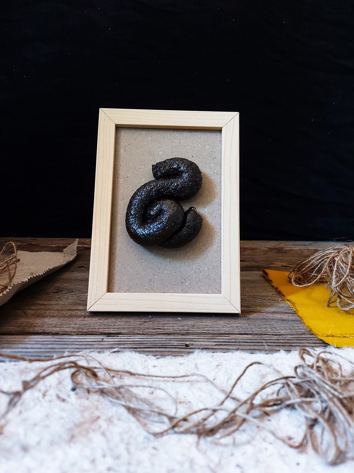 Real Poop Made by Hand on a Frame for Good Luck Crazy Art Silly Picture ...