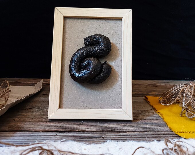 Real Poop Made by Hand - on a Frame for Good Luck Crazy Art Silly ...