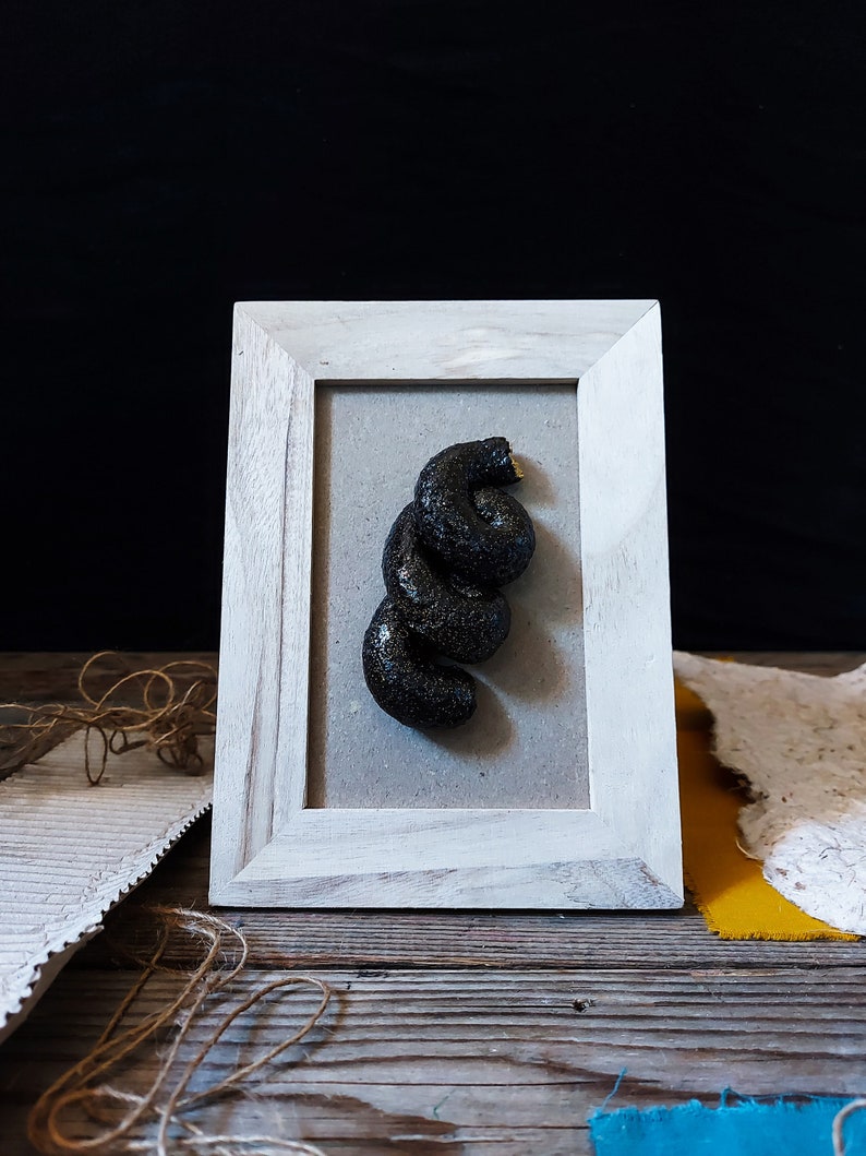 Poop Made From Real Poop on a Frame for Good Luck Crazy Bizarre Art ...