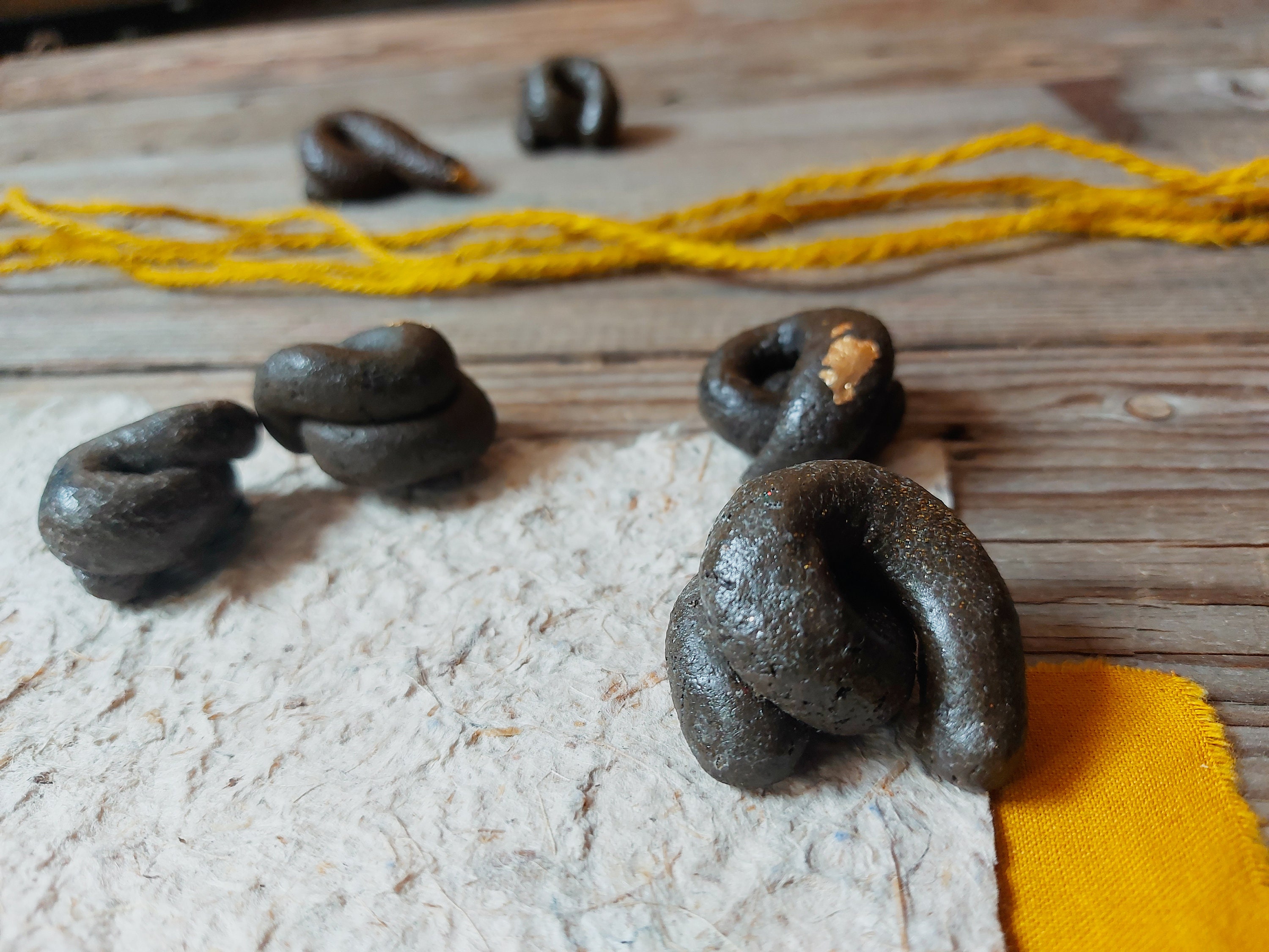 Real Poop Magnet Brings Good Luck, Must Have Funny Fun Gift for ...