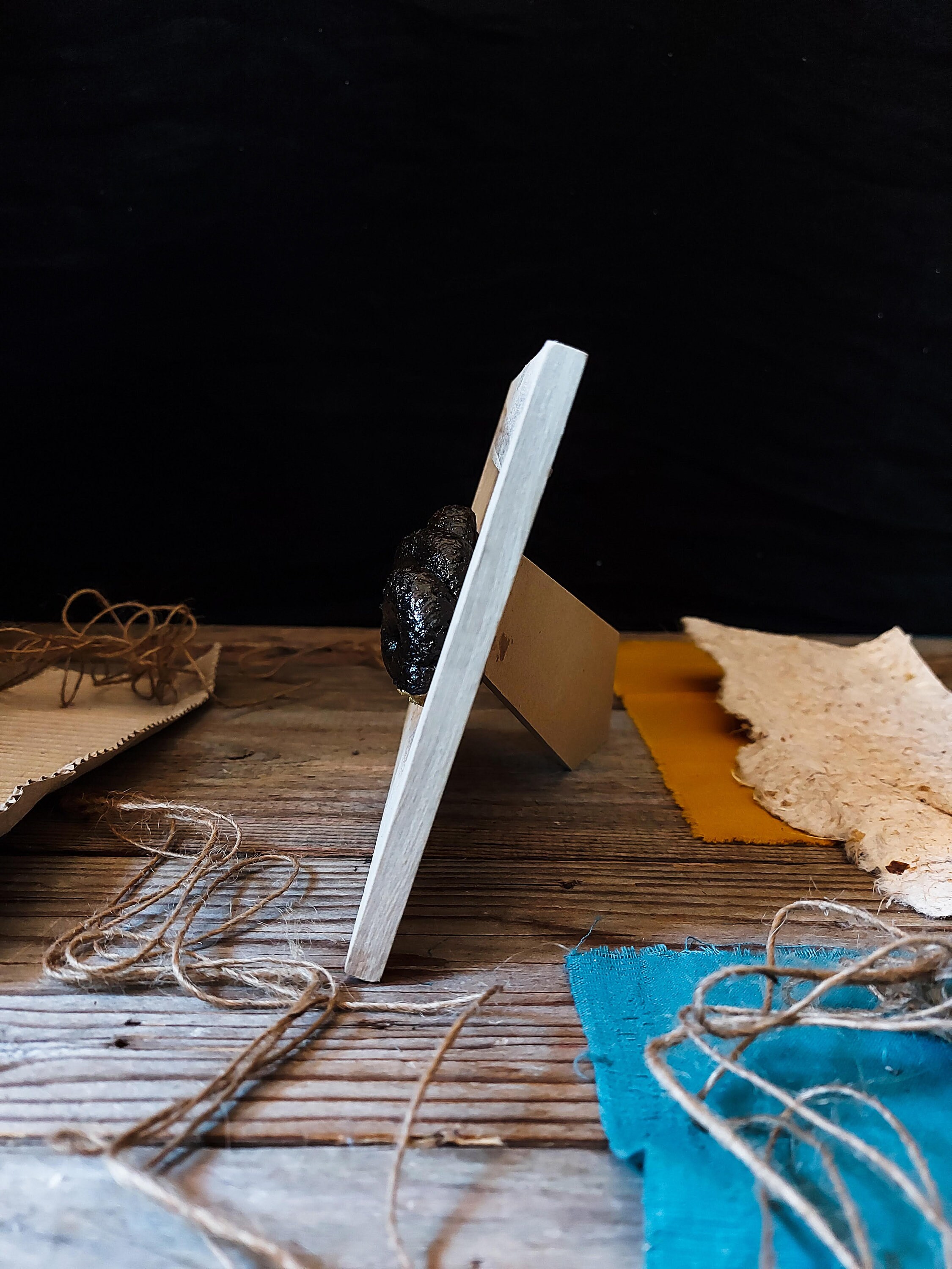 Poop Made From Real Poop on a Frame for Good Luck Crazy Bizarre Art ...