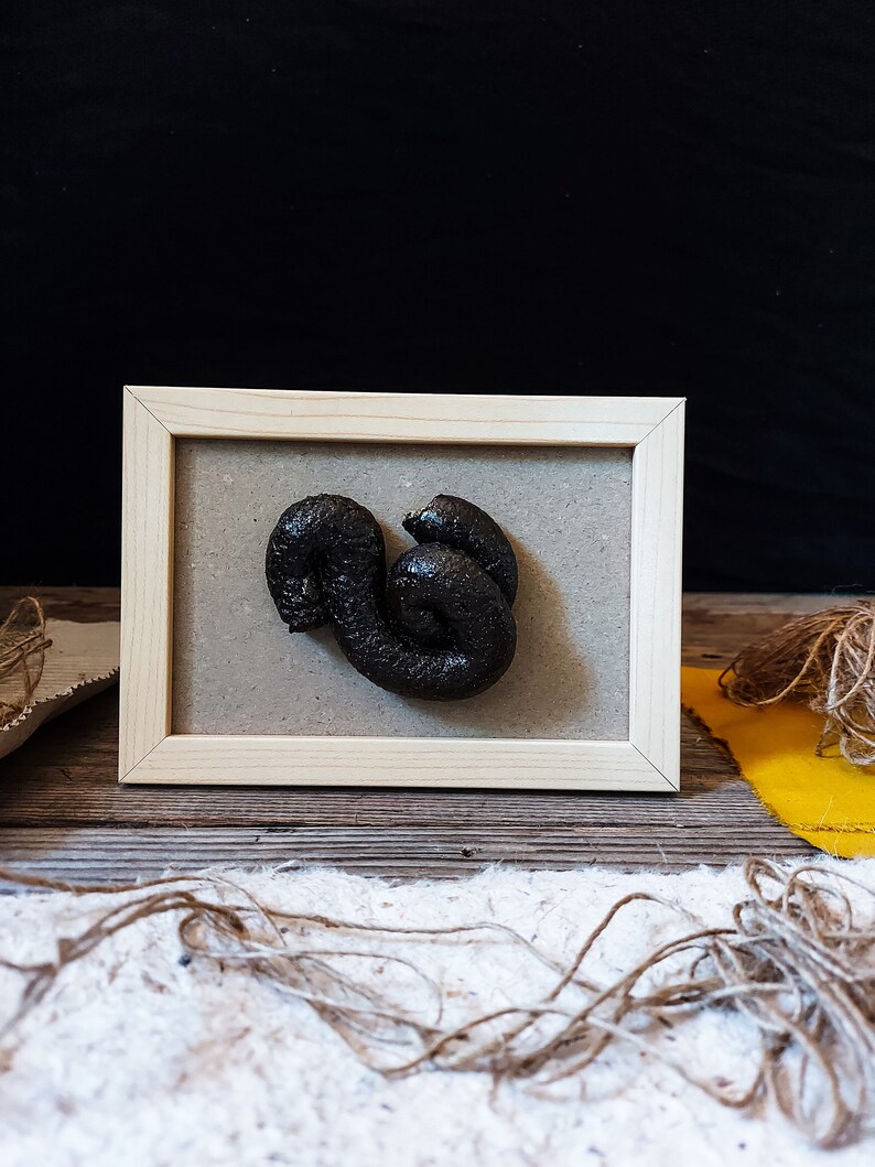 Real Poop Made by Hand on a Frame for Good Luck Crazy Art Silly Picture ...