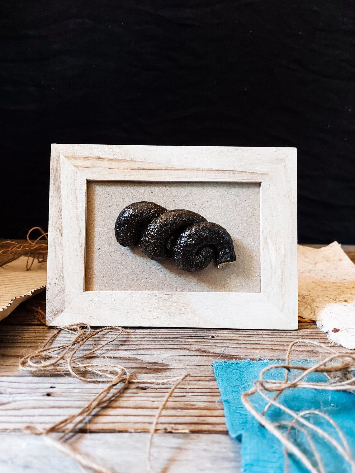 Poop Made From Real Poop on a Frame for Good Luck Crazy Bizarre Art ...