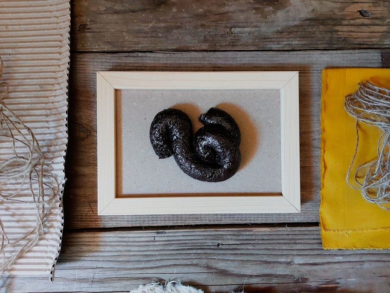 Real Poop Made by Hand on a Frame for Good Luck Crazy Art Silly Picture ...