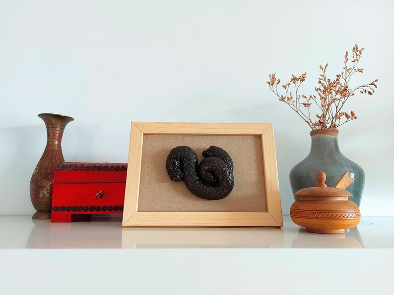 Real Poop Made by Hand on a Frame for Good Luck Crazy Art Silly Picture ...