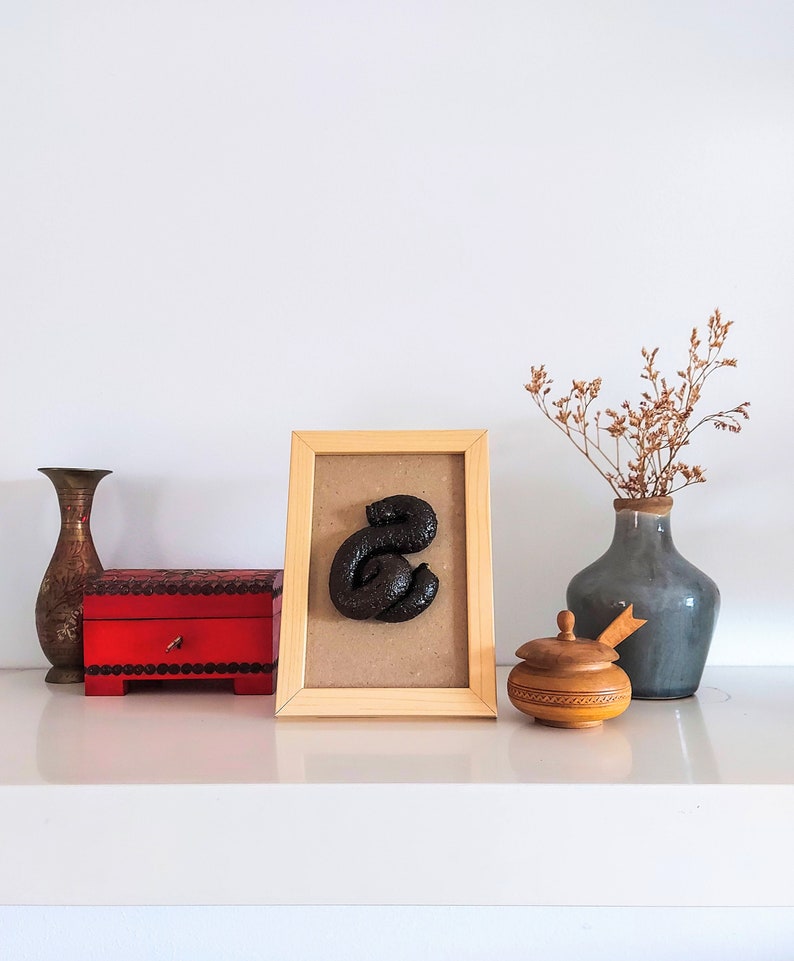 Real Poop Made by Hand on a Frame for Good Luck Crazy Art Silly Picture ...