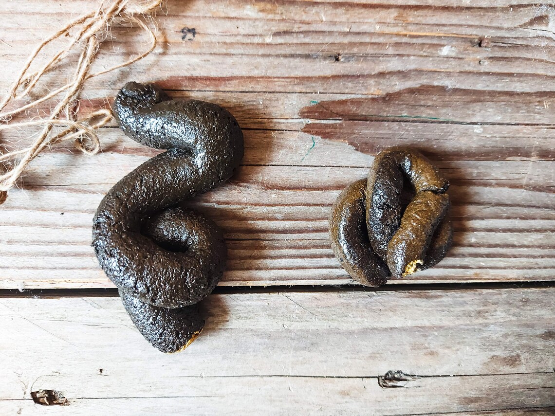 Poop From Real Poop for Good Luck and Good Day Unique Gift for ...