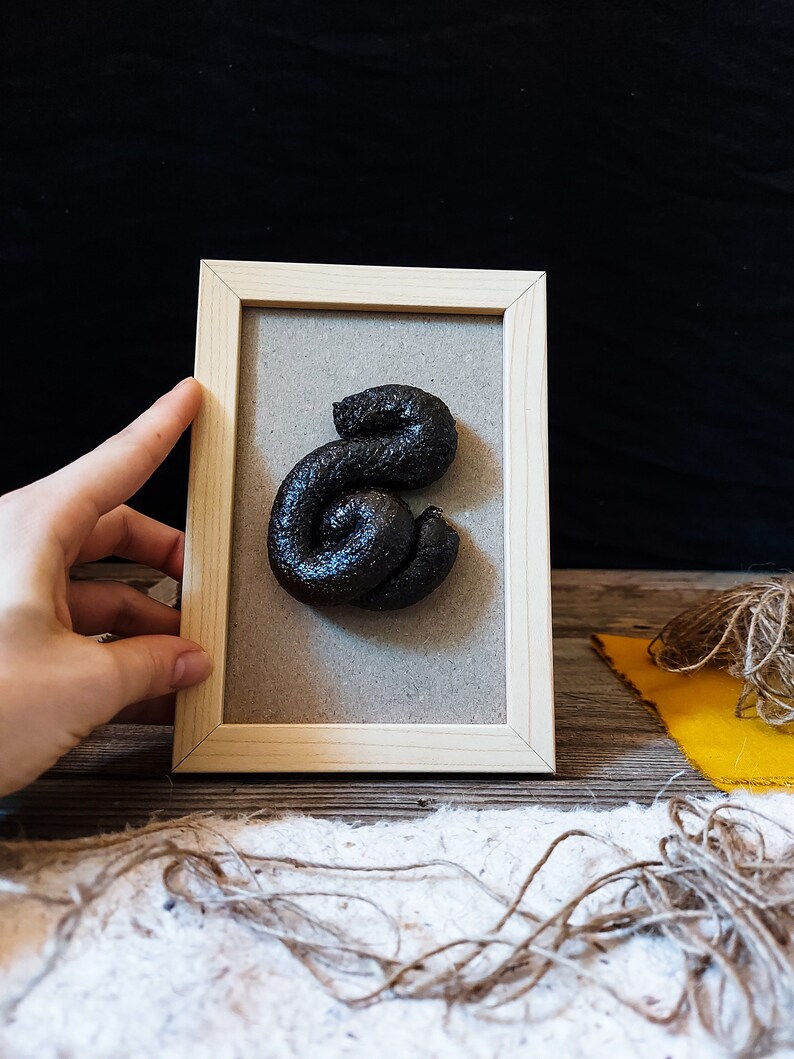 Real Poop Made by Hand on a Frame for Good Luck Crazy Art Silly Picture ...