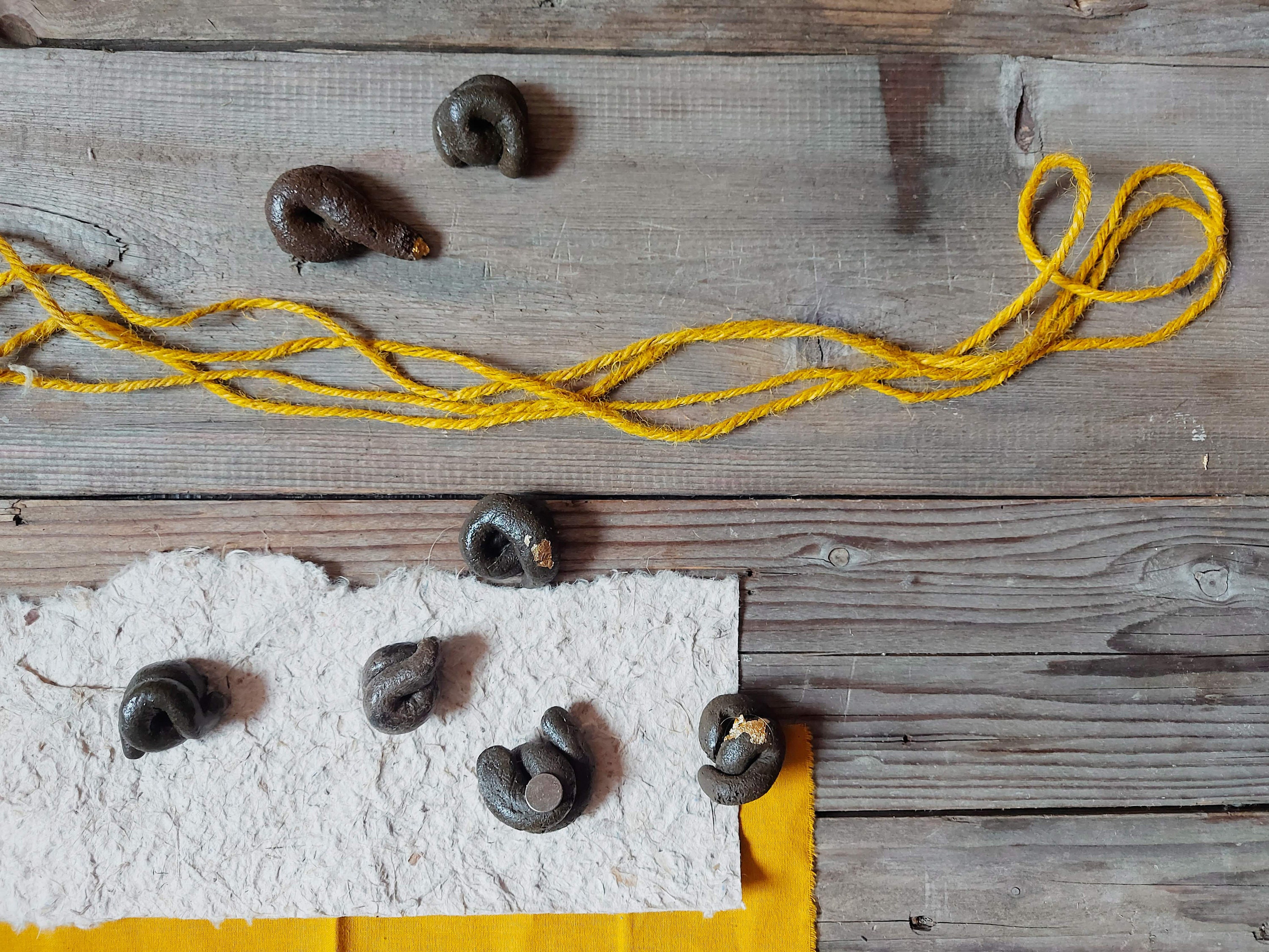 Real Poop Magnet Brings Good Luck, Must Have Funny Fun Gift for ...