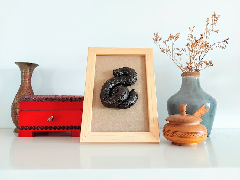 Real Poop Made by Hand on a Frame for Good Luck Crazy Art Silly Picture ...