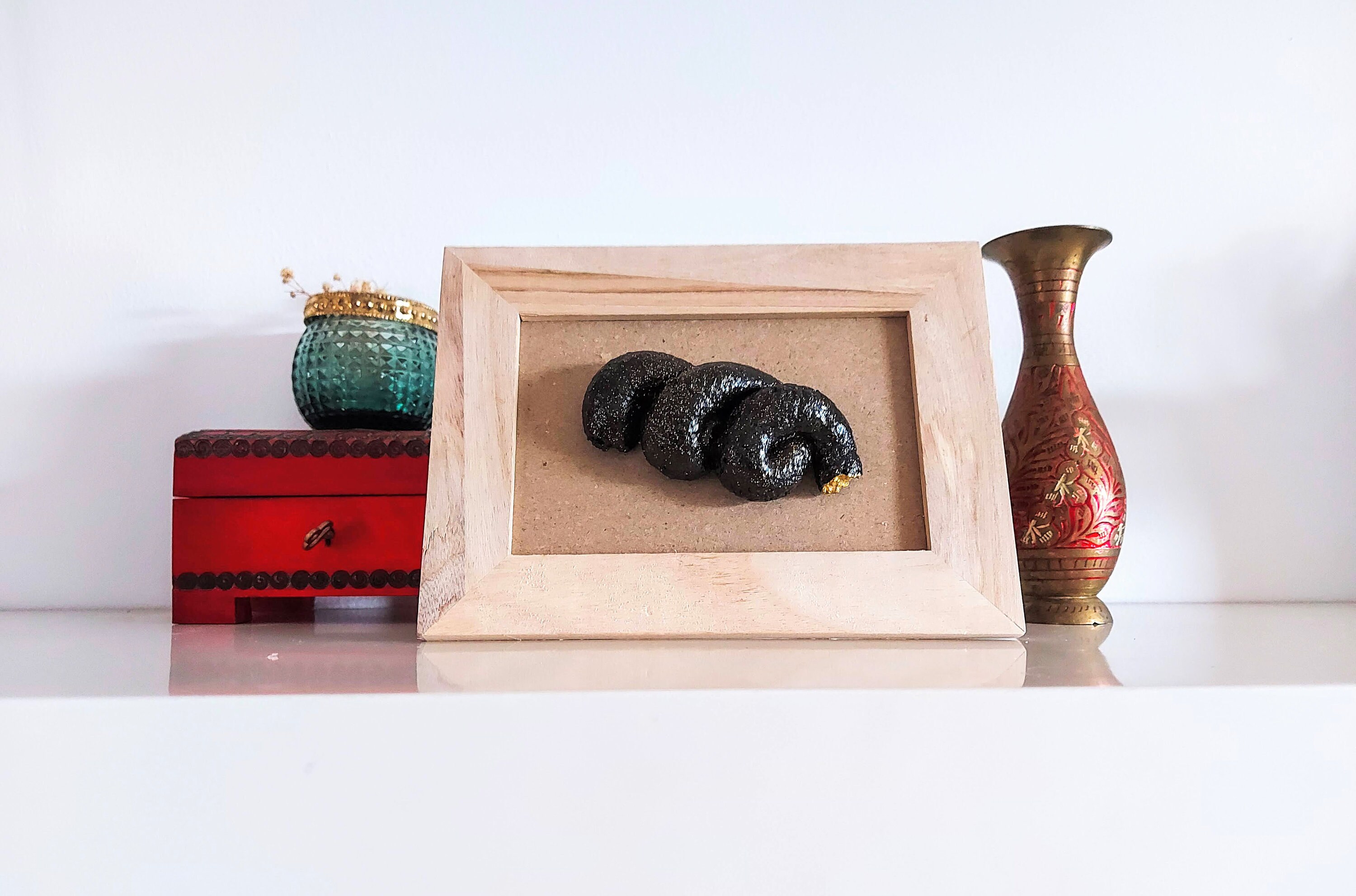 Poop Made From Real Poop on a Frame for Good Luck Crazy Bizarre Art ...