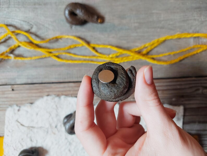 Real Poop Magnet Brings Good Luck, Must Have Funny Fun Gift for ...