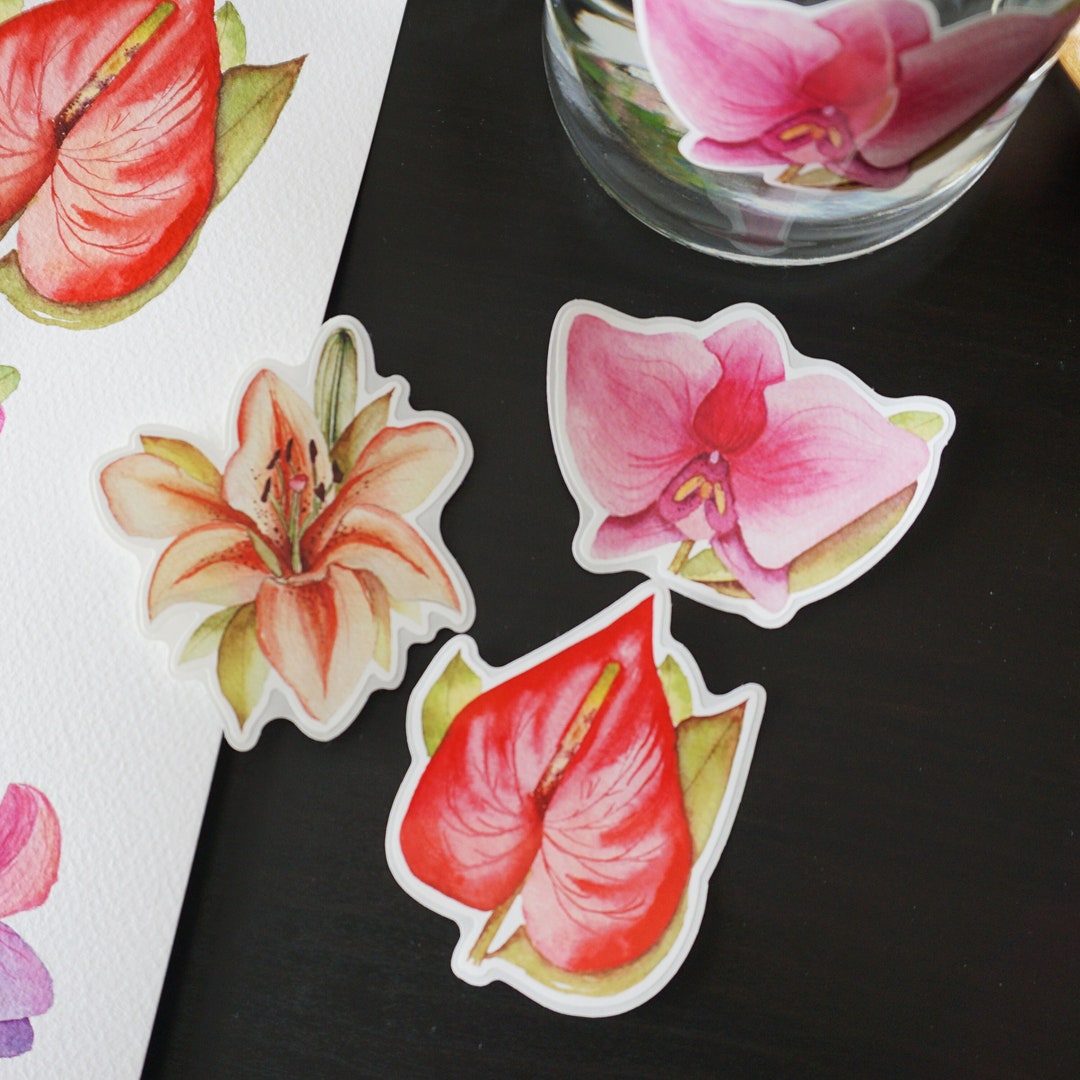 Tropical Flower Sticker Pack of 3 | Tropical Stickers | Vinyl Sticker ...