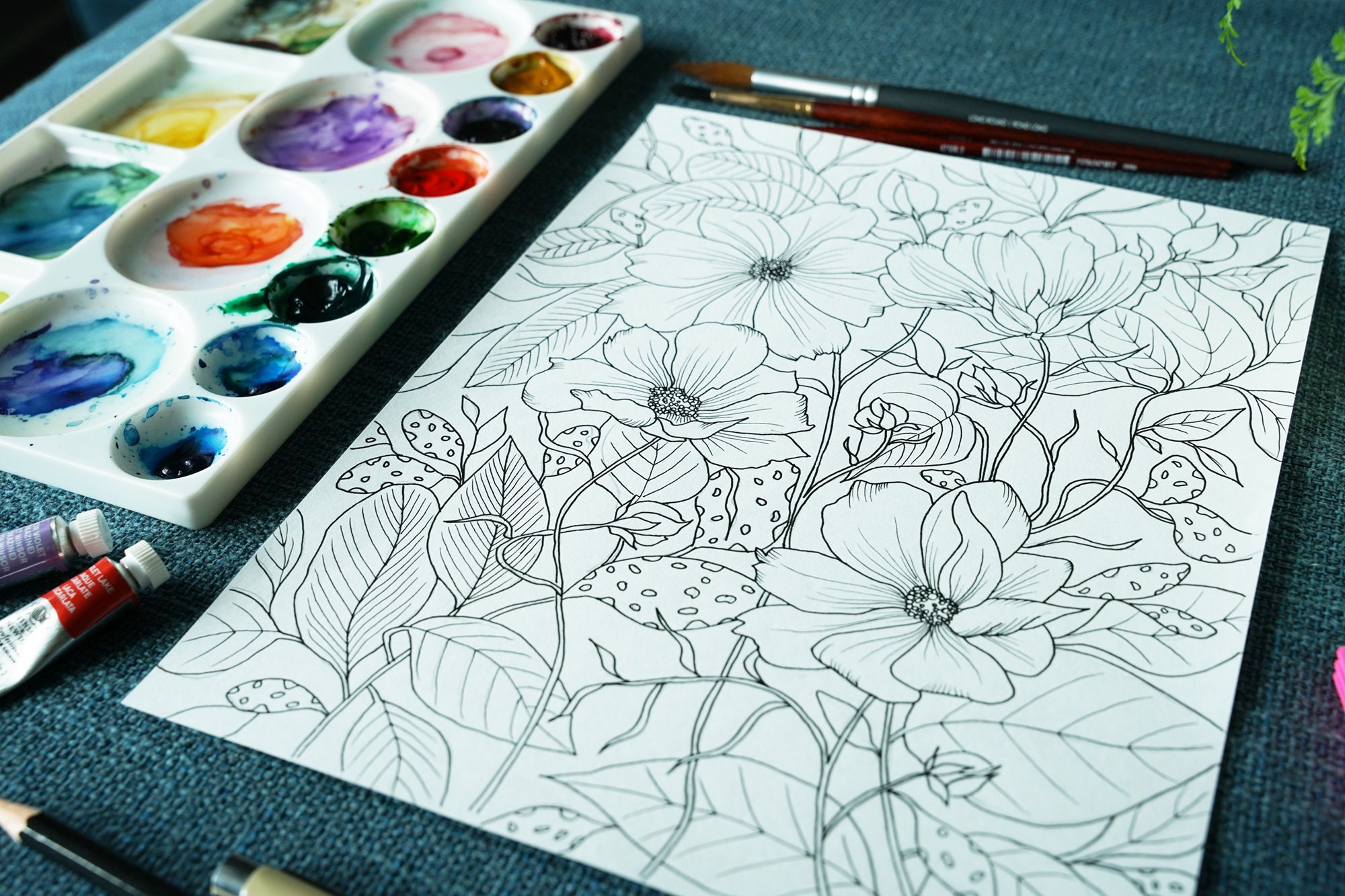 Coloring Pages for Adults | Printable Botanical Coloring Sheets | Adult ...