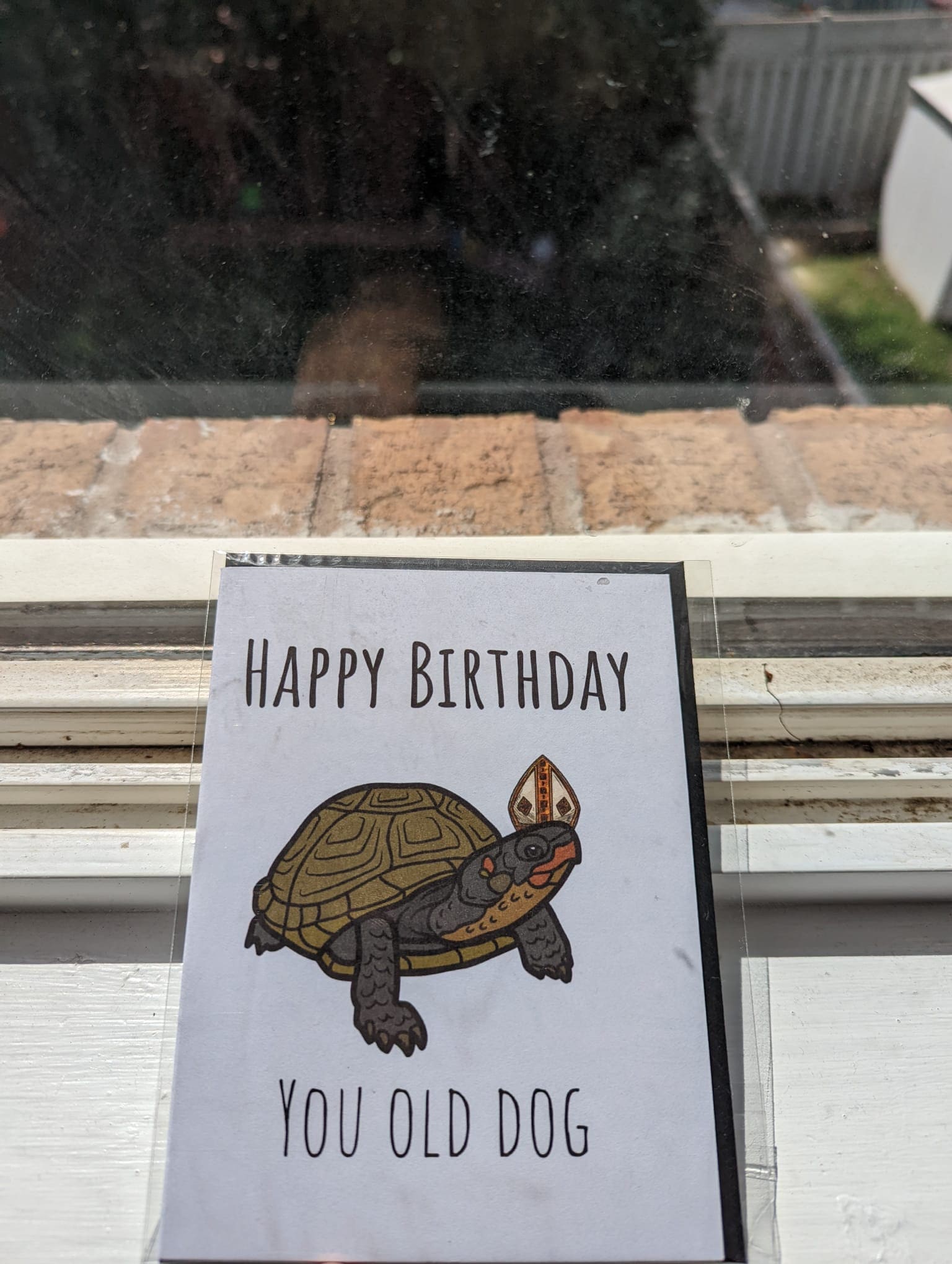 Elden Ring , Videogame , Dog Tortoise , Meme ,meme Card , Blank Card ...