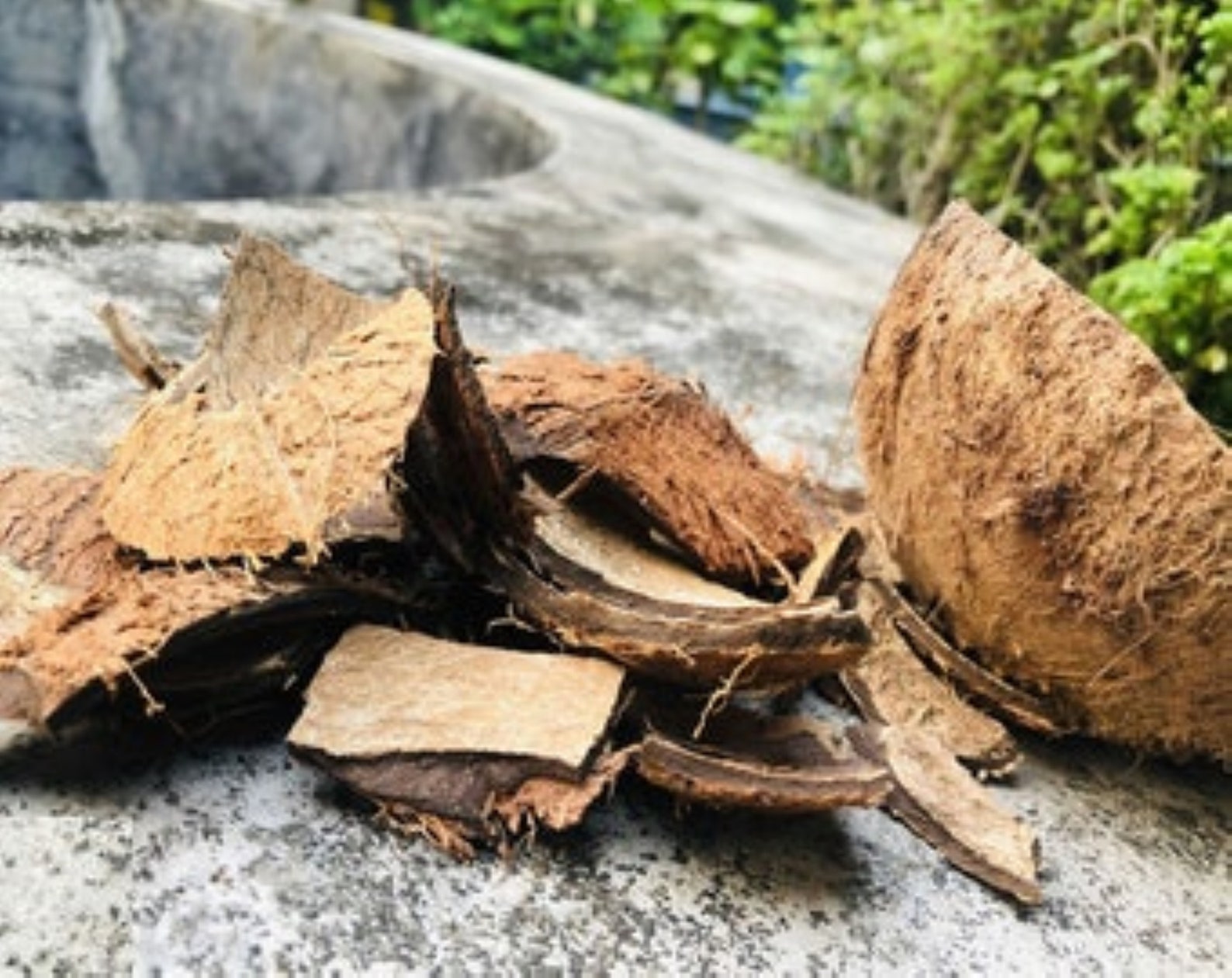 Coconut Shell Chip | Eco-friendly Coconut Shell Chips for Handcraft All ...