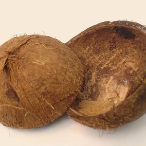 Natural Coconut Shell Halves Natural Half Shell Coconut Natural - Etsy