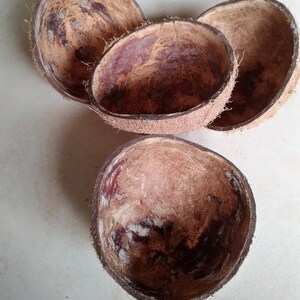 Natural Coconut Shell Halves Natural Half Shell Coconut Natural - Etsy