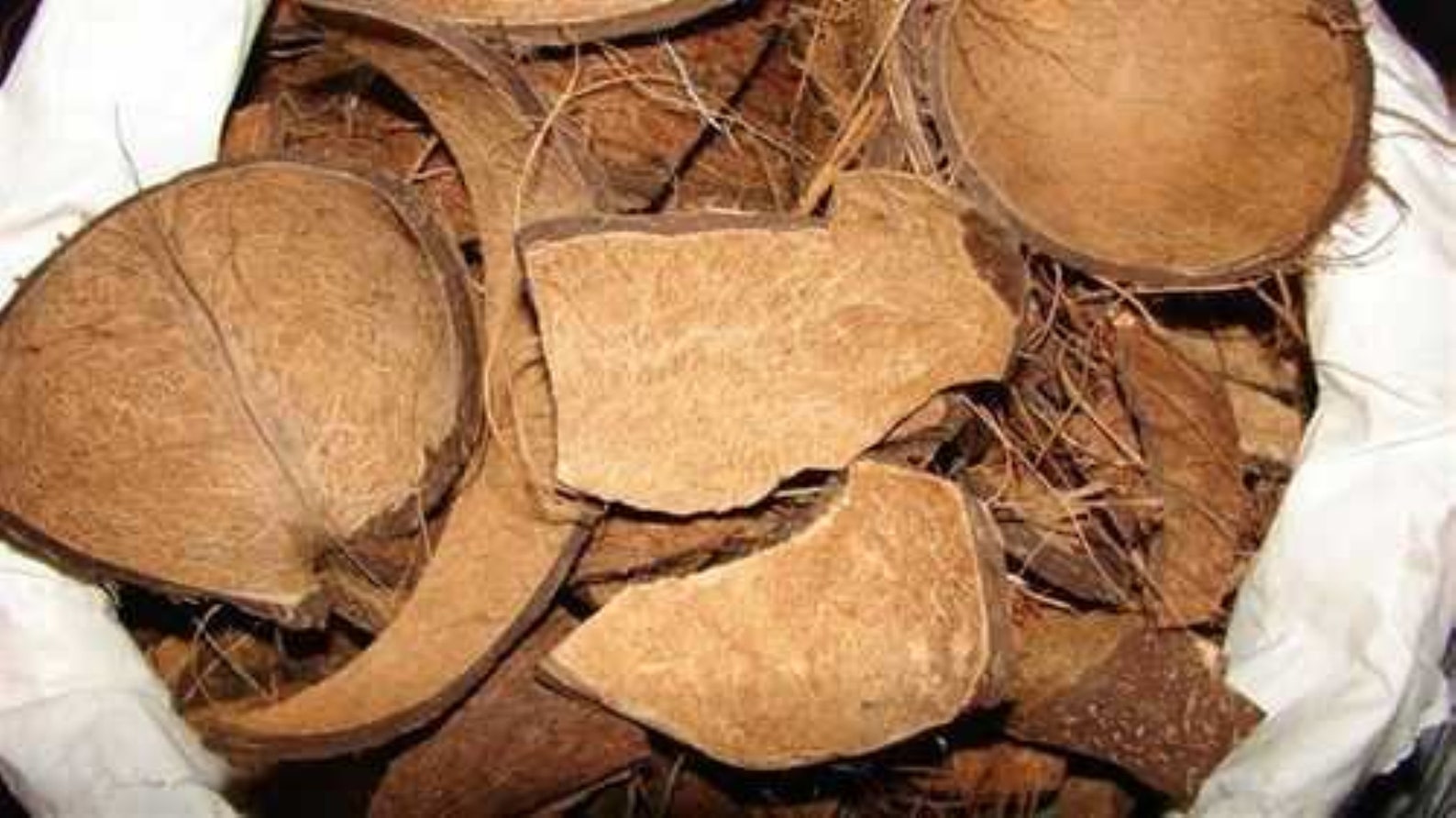Coconut Shell Chip | Eco-friendly Coconut Shell Chips for Handcraft All ...