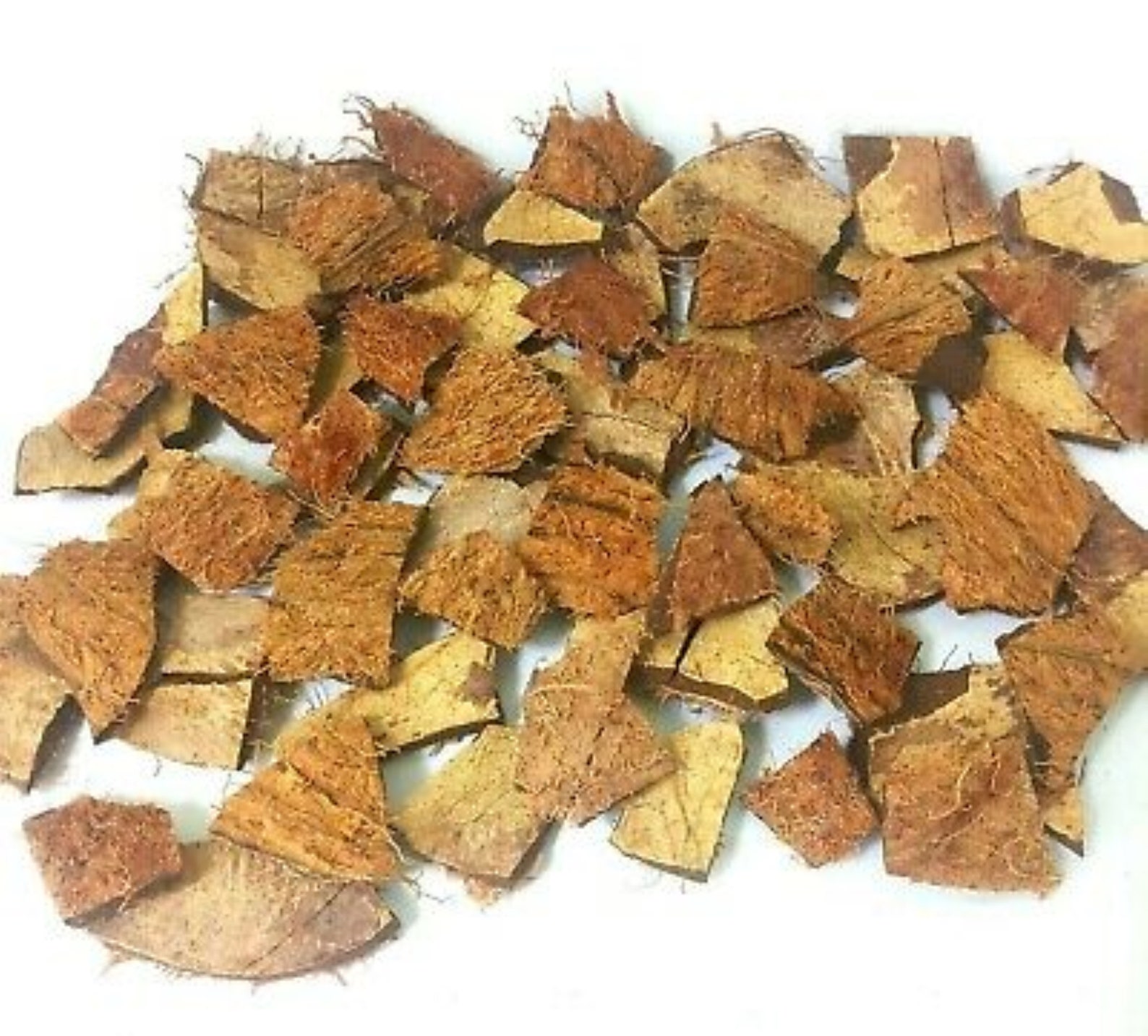 Coconut Shell Chip | Eco-friendly Coconut Shell Chips for Handcraft All ...