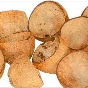 Natural Coconut Shell Halves Natural Half Shell Coconut Natural - Etsy