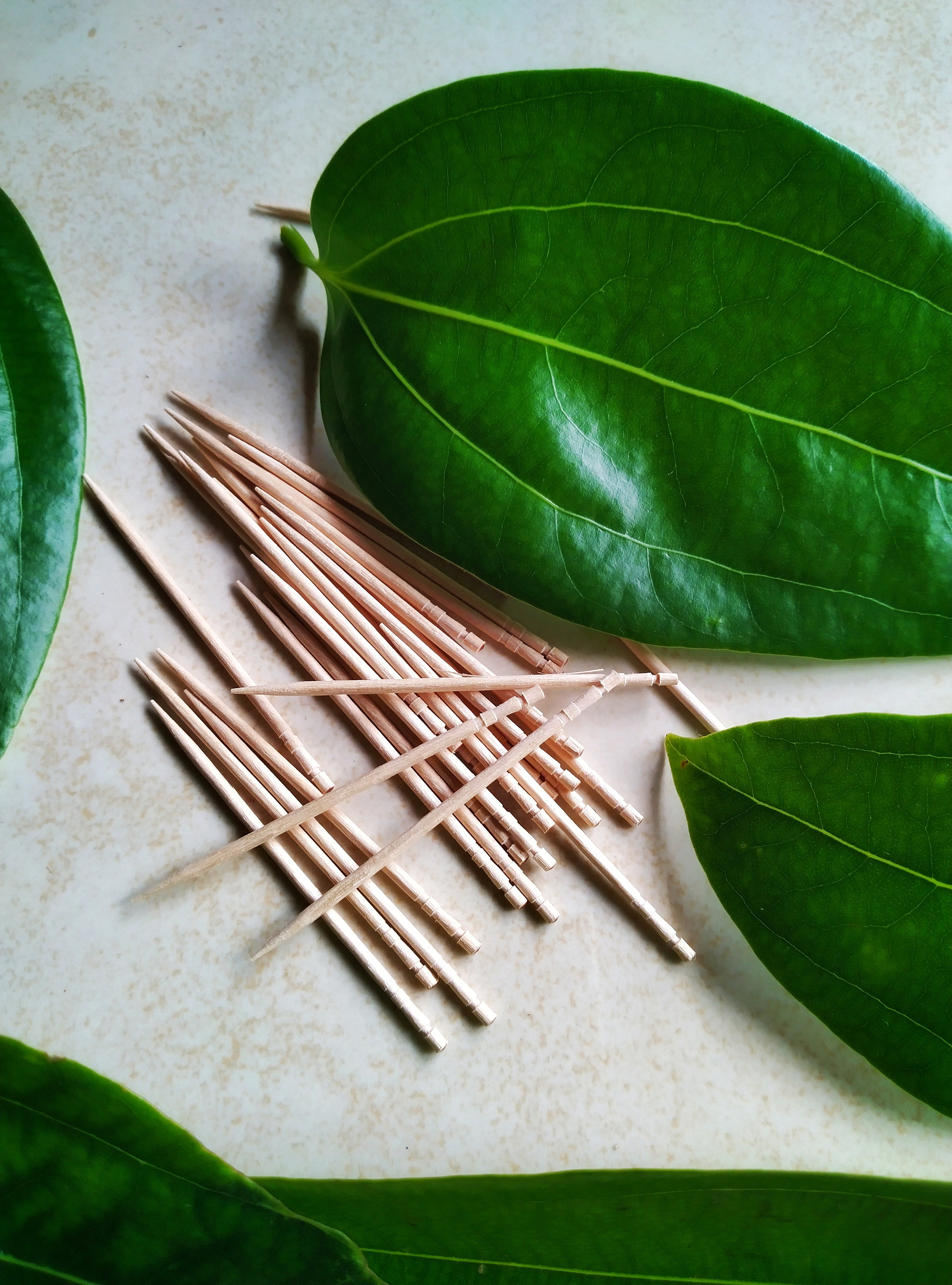 Cinnamon Toothpicks Handmade Natural Organic Toothpick 100pcs Cinnamon ...