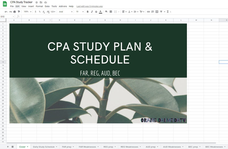 CPA Study Plan and Tracker - Etsy