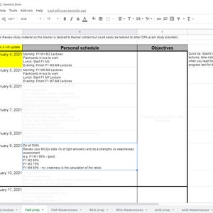CPA Study Plan and Tracker - Etsy