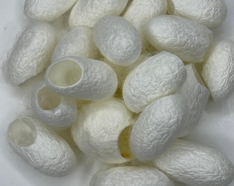 Silkworm Cocoon - Etsy
