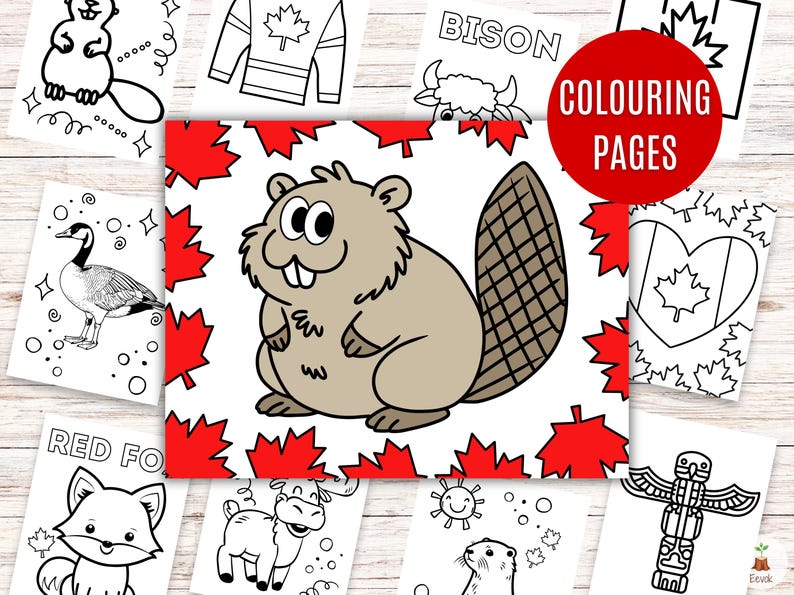 Canada Day Printables Preschool Worksheets Canada Resources Canadian ...