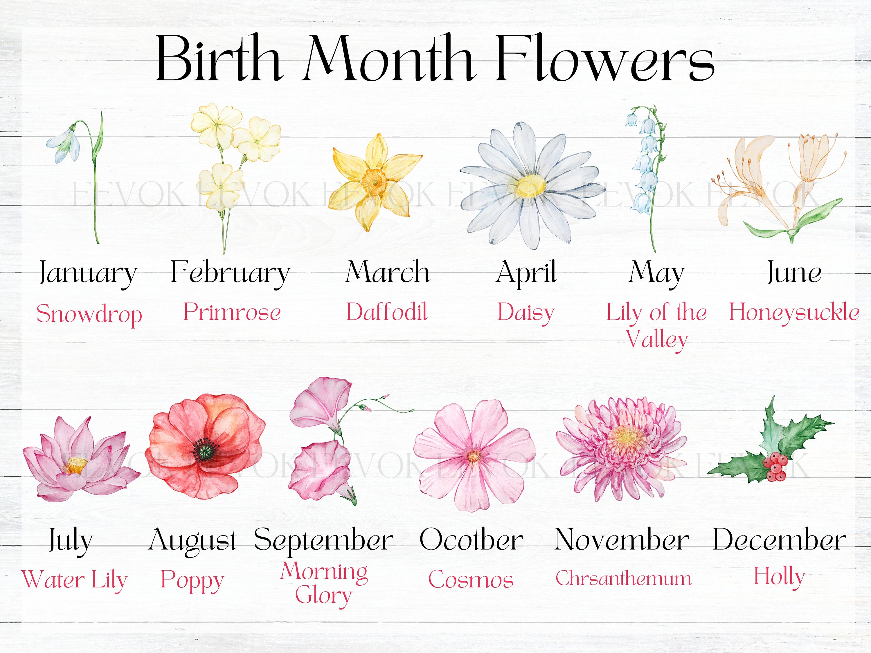 Custom Birth Flower Bouquet, Family Birth Flowers, Family Garden Gift ...