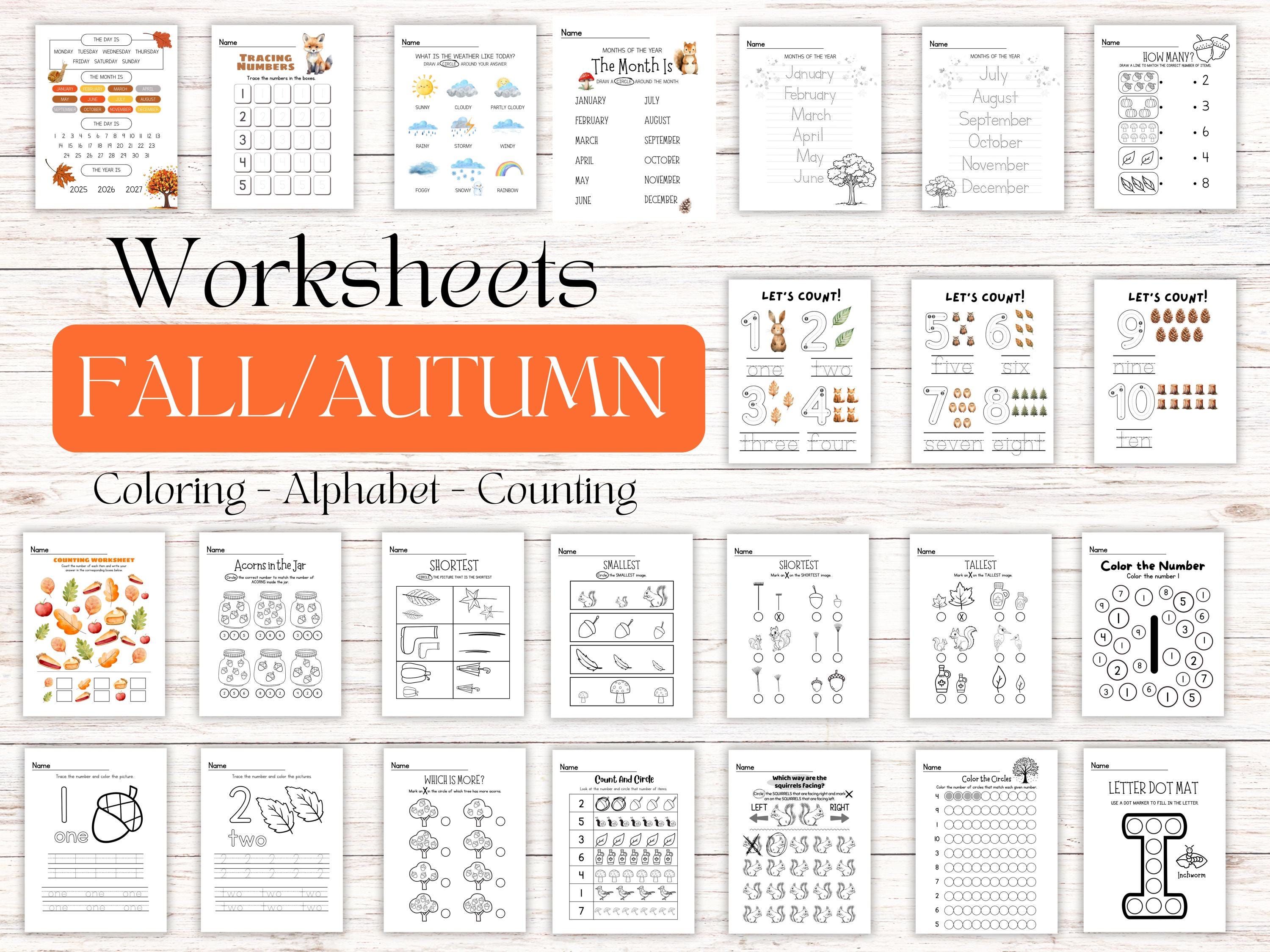 PRINTABLE Preschool Fall Worksheets Autumn Activities Fall Busy Book ...