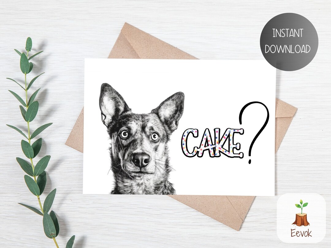 Printable Funny Dog Birthday Card, Funny Dog Greeting Card, Cute Dog ...