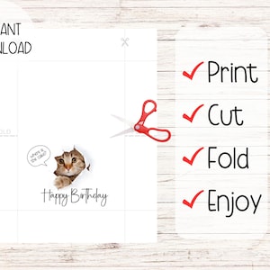 Printable Cute Cat Birthday Card, Printable Greeting Card, Cat Lover ...