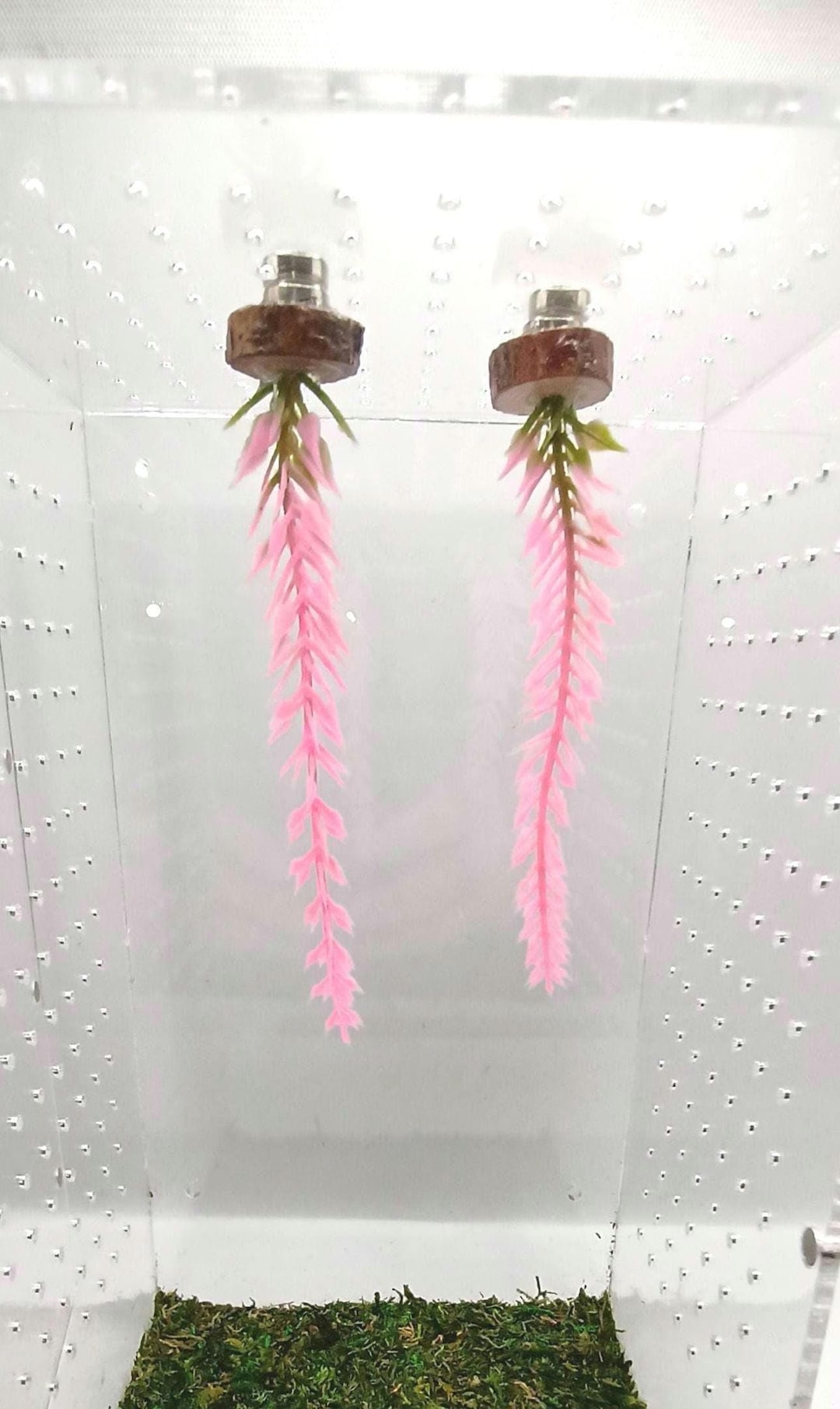 Climbing Vine Set of 2: Magnetic Spider Reptile Terrarium Enclosure ...