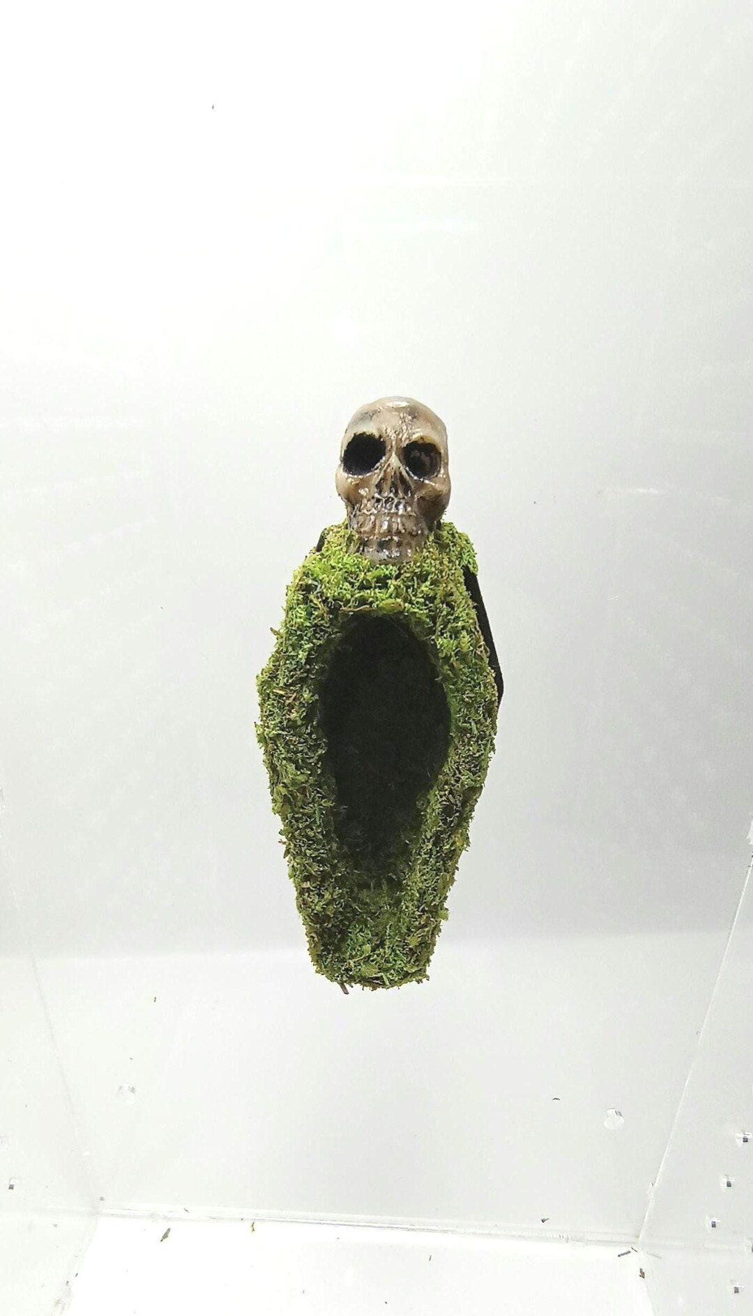 Casket Coffin Skull Hide: Magnetic Spider Reptile Terrarium Enclosure ...
