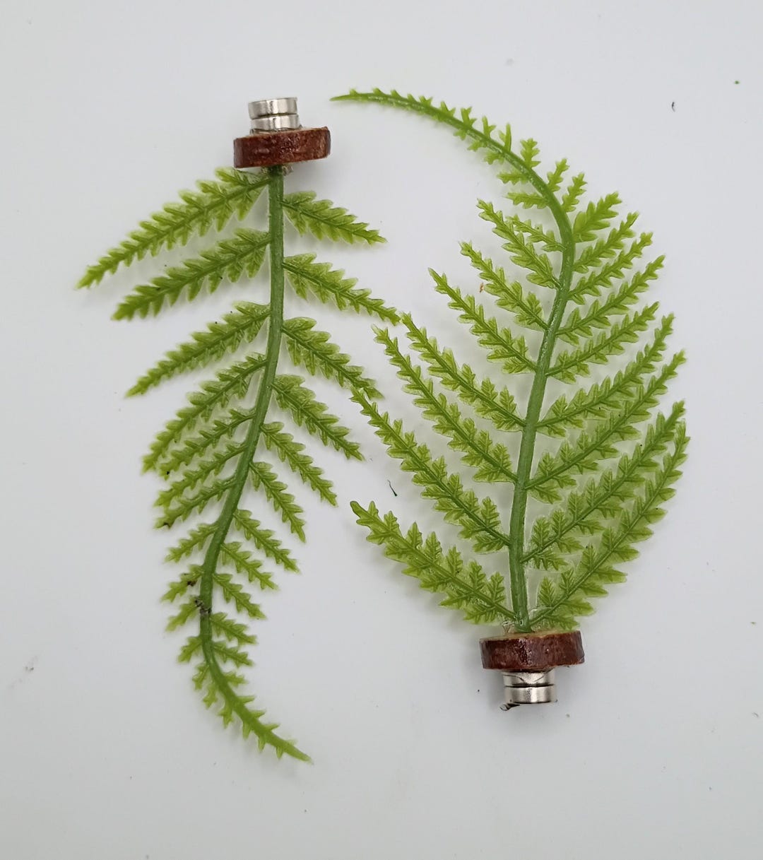 Jumping Spider Climbing Vine Set of 2 Magnetic Enclosure Terrarium ...