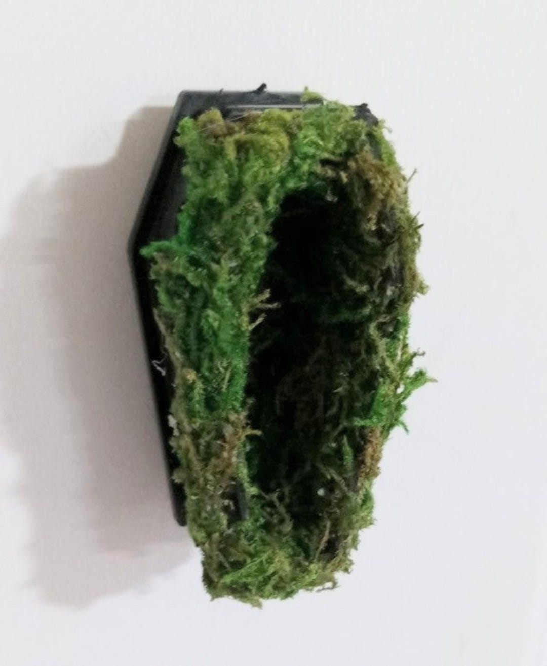 Jumping Spider Casket Coffin Hide: Magnetic Terrarium Vivarium ...