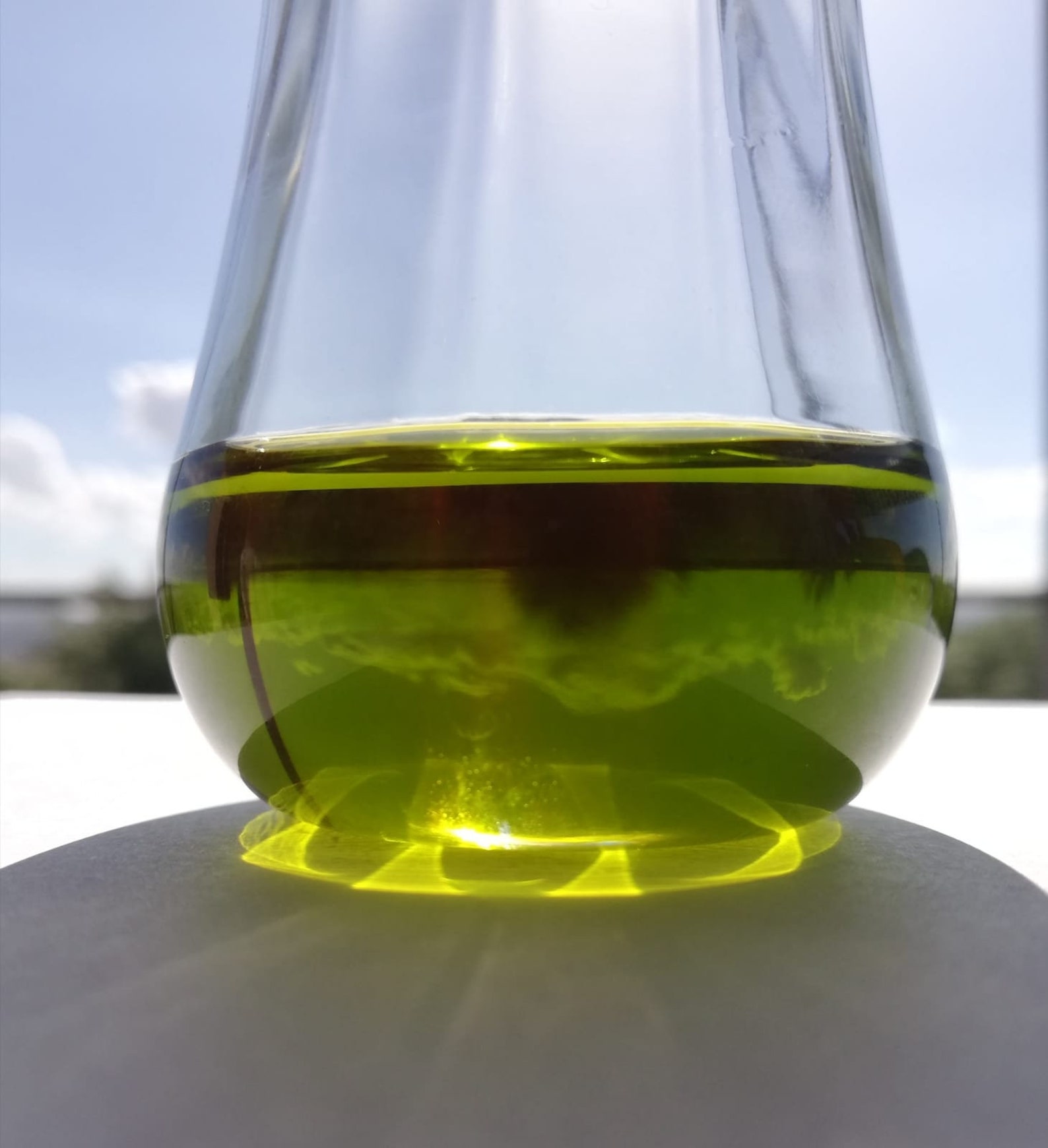 Hermus %100 Arbequina Extra Virgin Olive Oil Early - Etsy