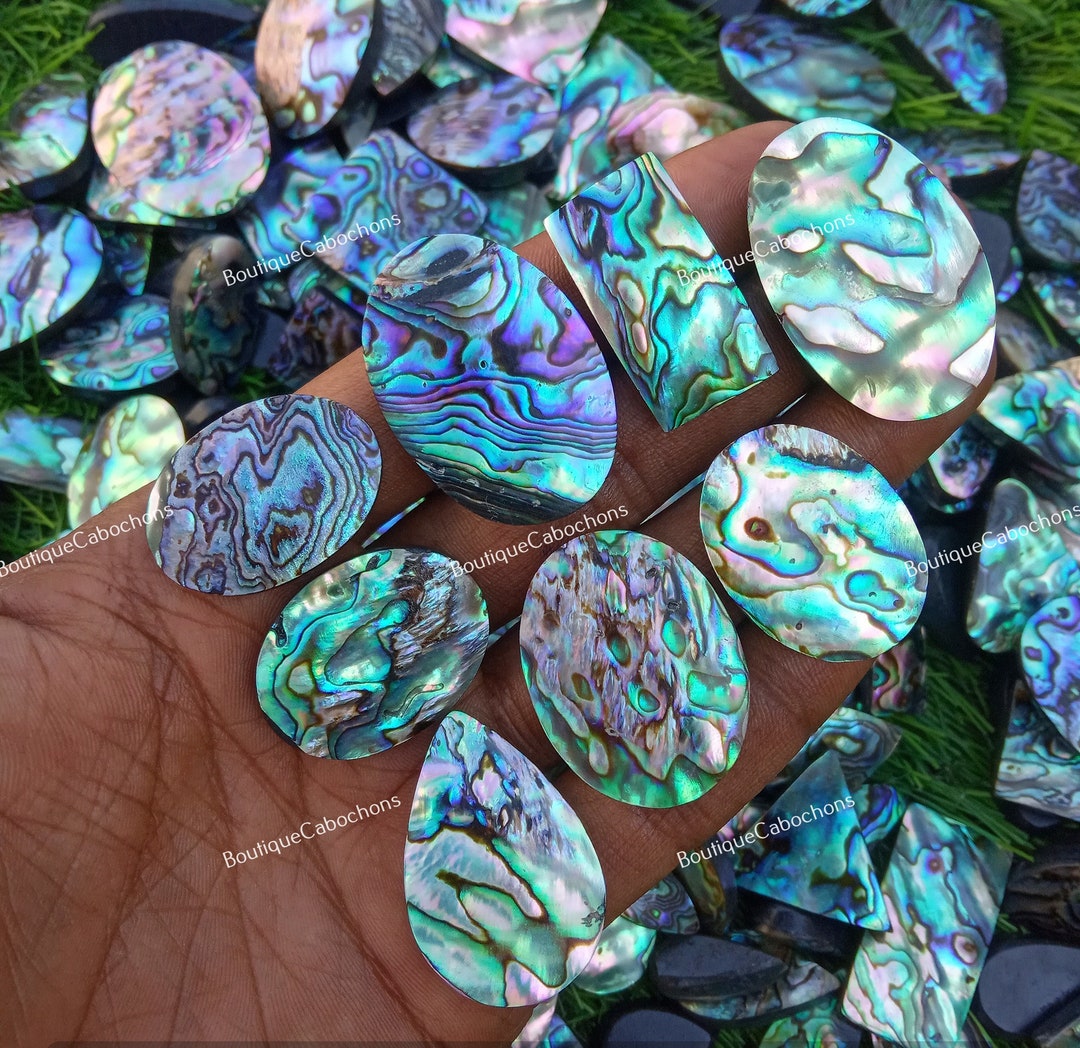 Amazing Quality Natural Abalone Shell Cabochon Loose Gemstone Wholesale ...