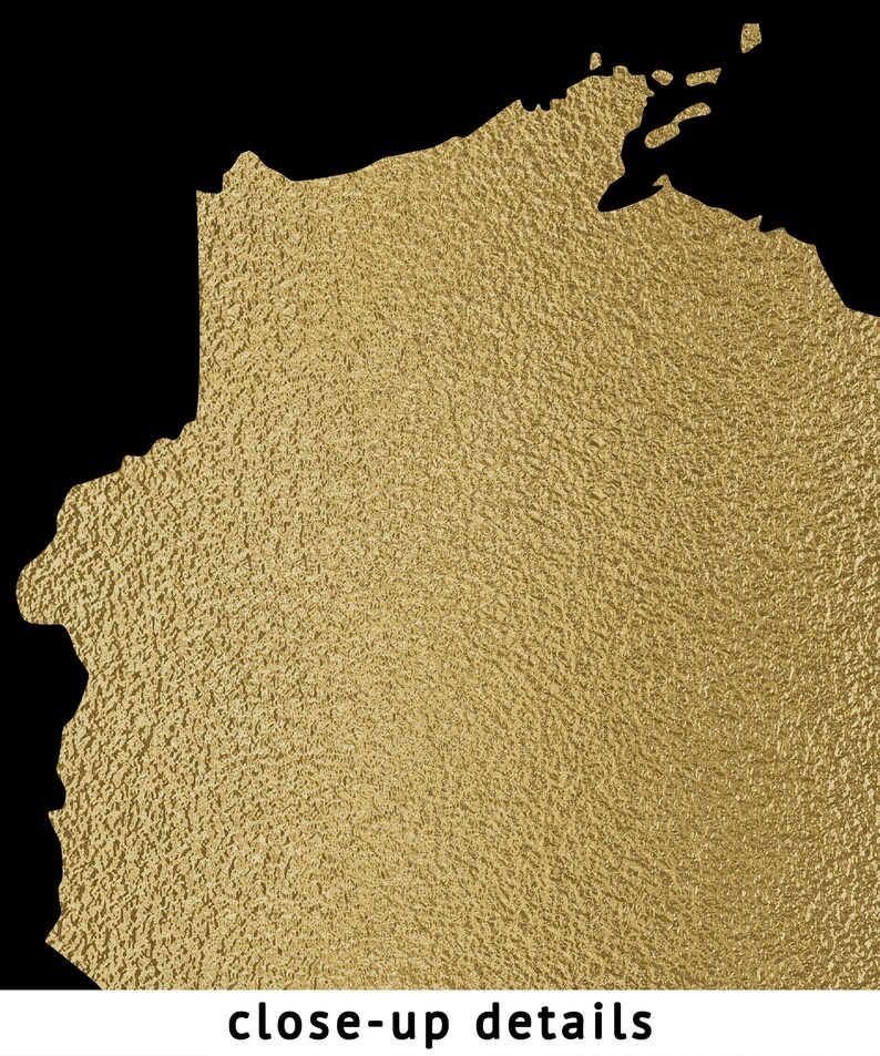 Wisconsin Map Black Gold Foil Texture Wisconsin Wall Art | Etsy
