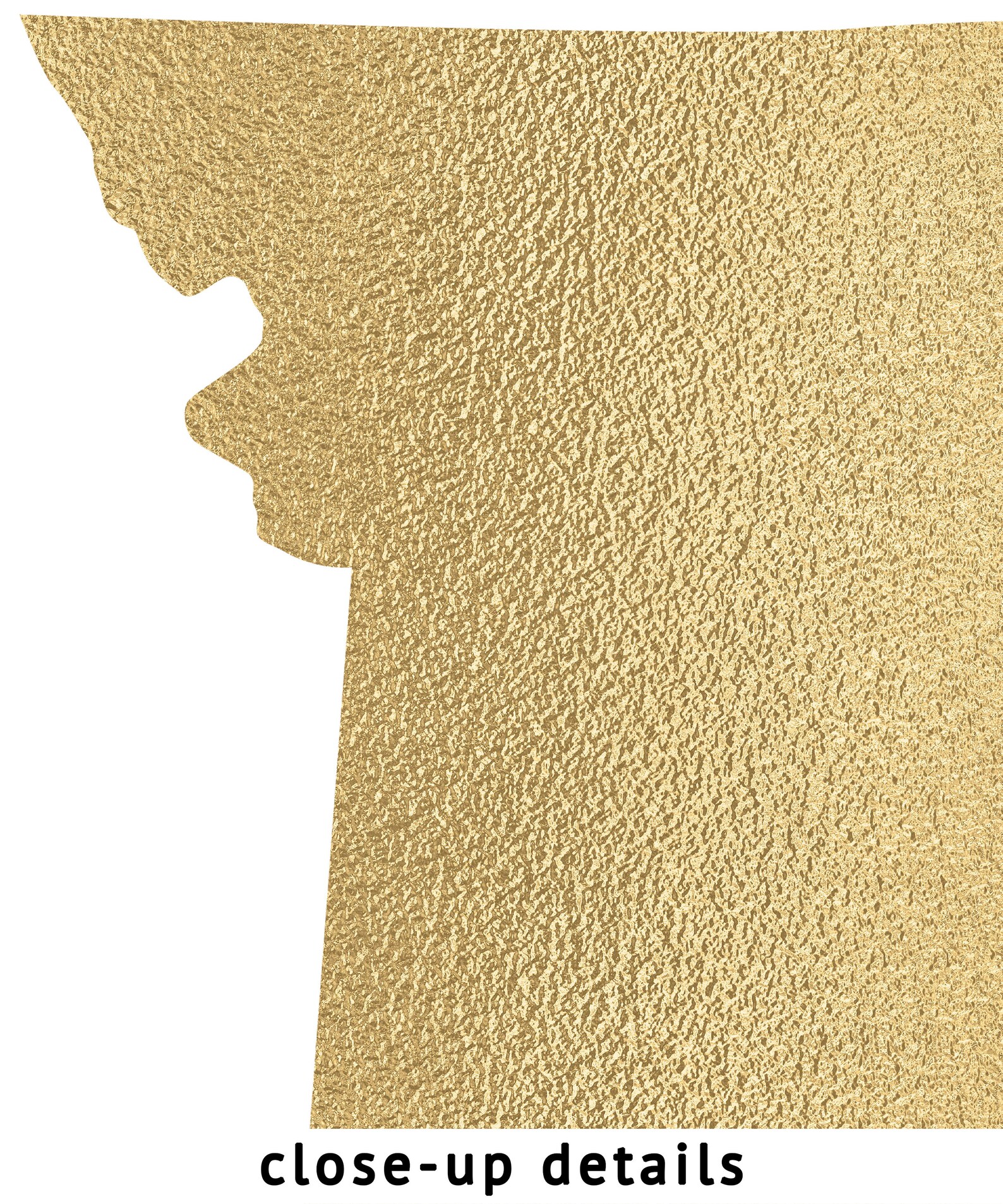 Missouri Map, Gold Foil Texture, Contemporary, Missouri Wall Art, Map ...