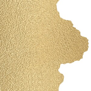 Iowa Map, Gold Foil Texture, Contemporary, Modern Map Art, Map of Iowa ...