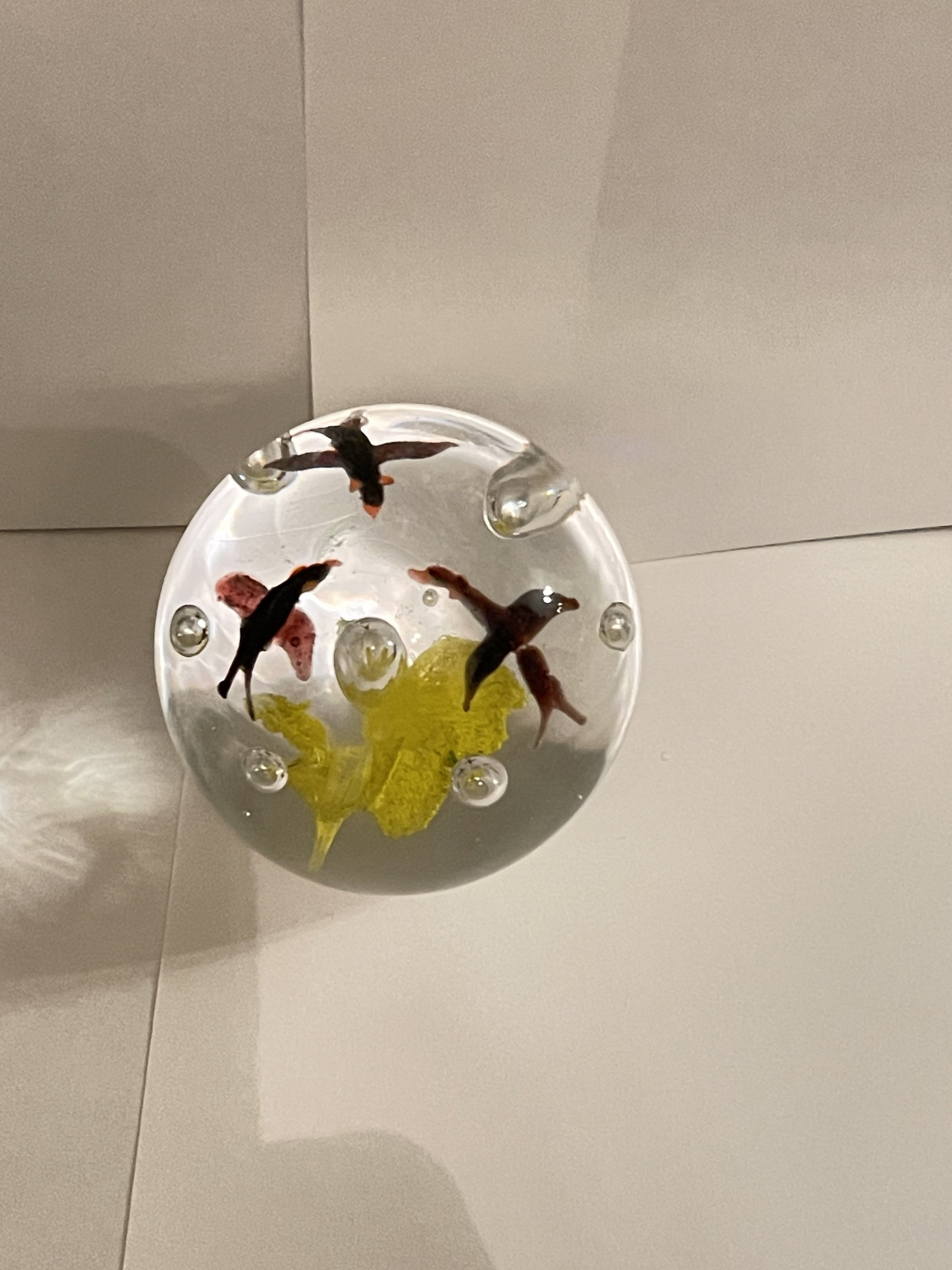 Vintage Hummingbird Paperweight - Etsy