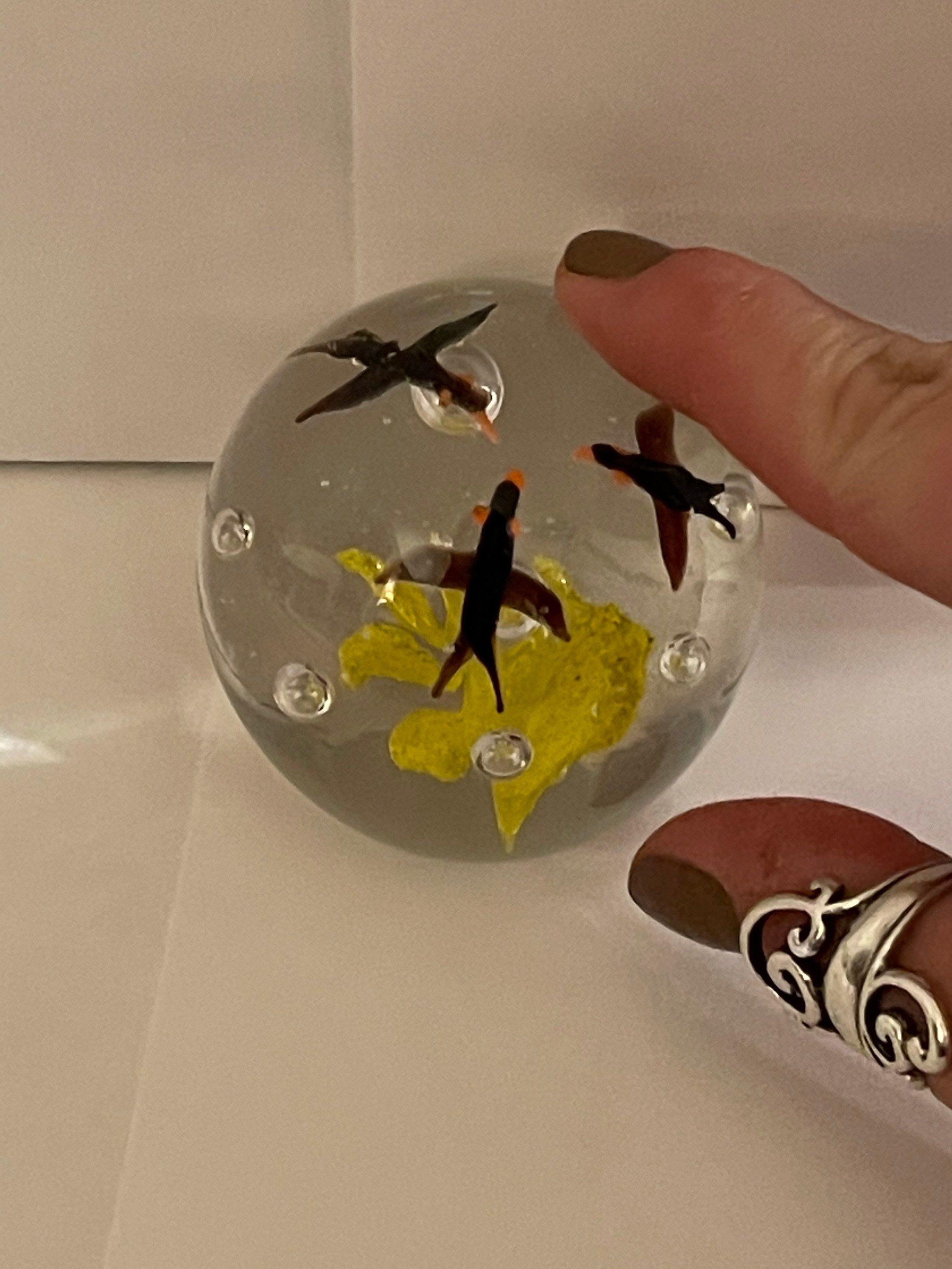 Vintage Hummingbird Paperweight - Etsy