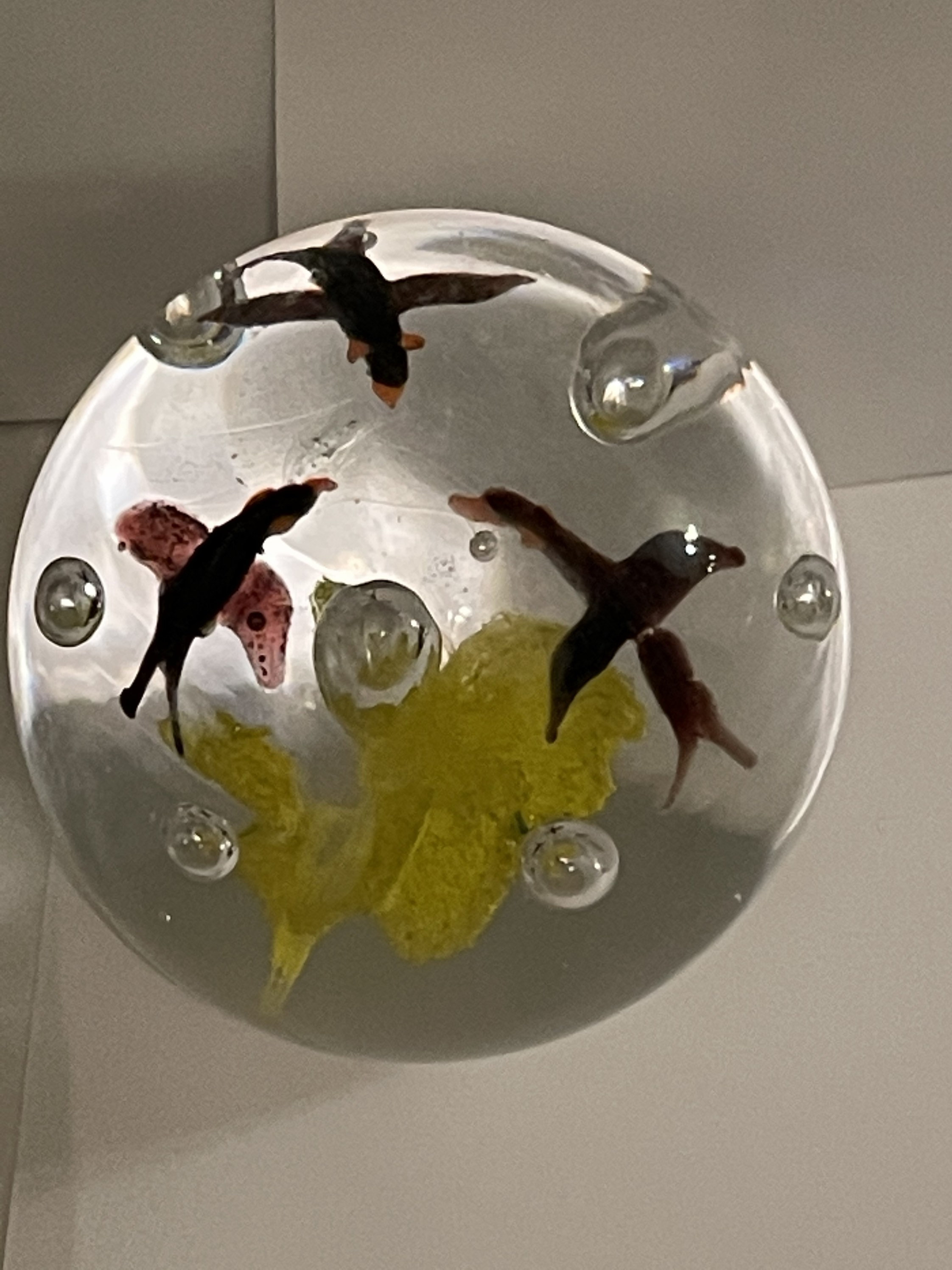 Vintage Hummingbird Paperweight - Etsy