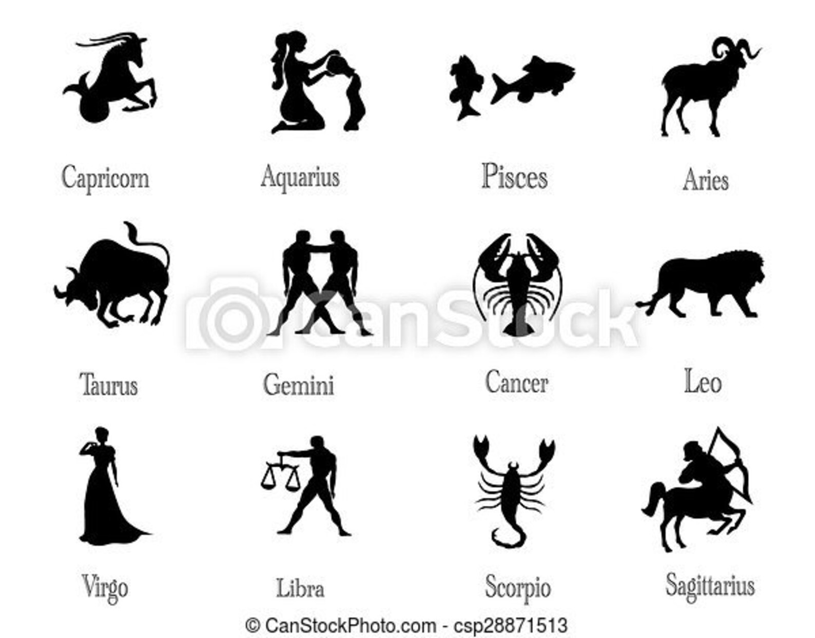 Zodiac Ring Zodiac Sign Signet Ring Zodiac Signet Ring - Etsy