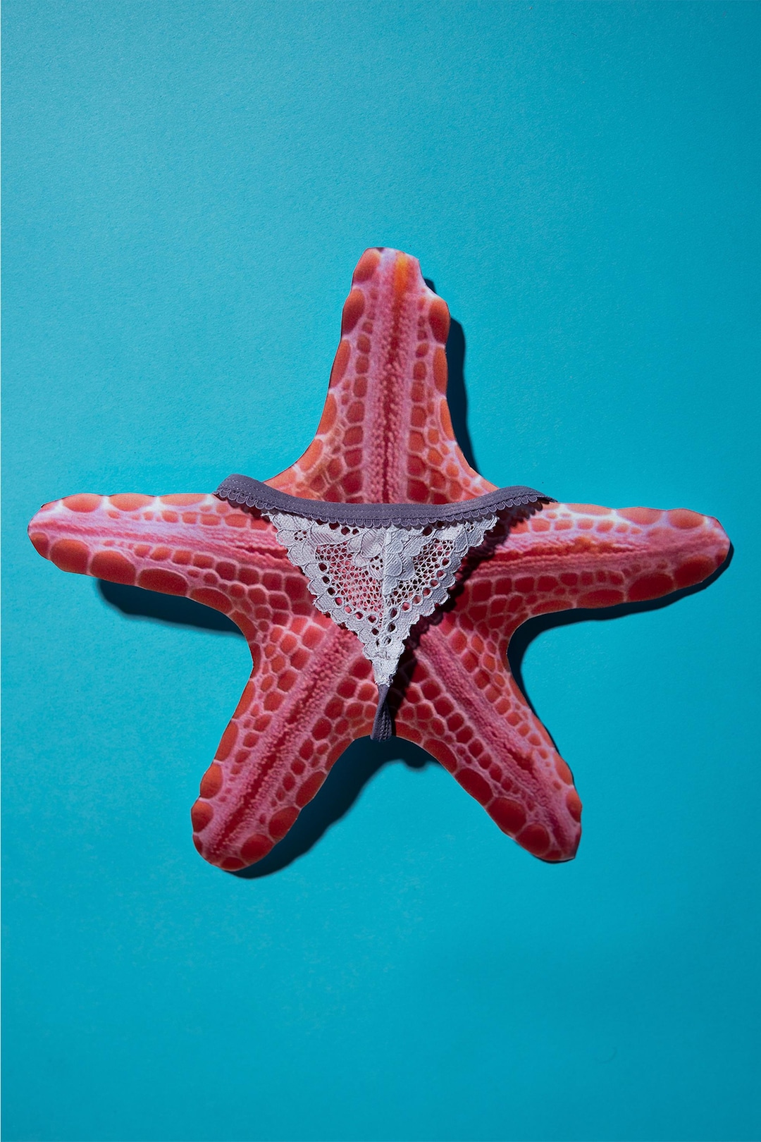 Funny Starfish Wall Art Digital Download | Cheeky Bathroom Decor ...