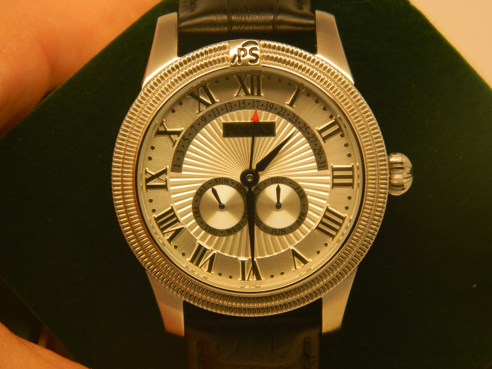 Portas PS 031 TY2715-01 Wristwatch - Brand New in Box - Etsy